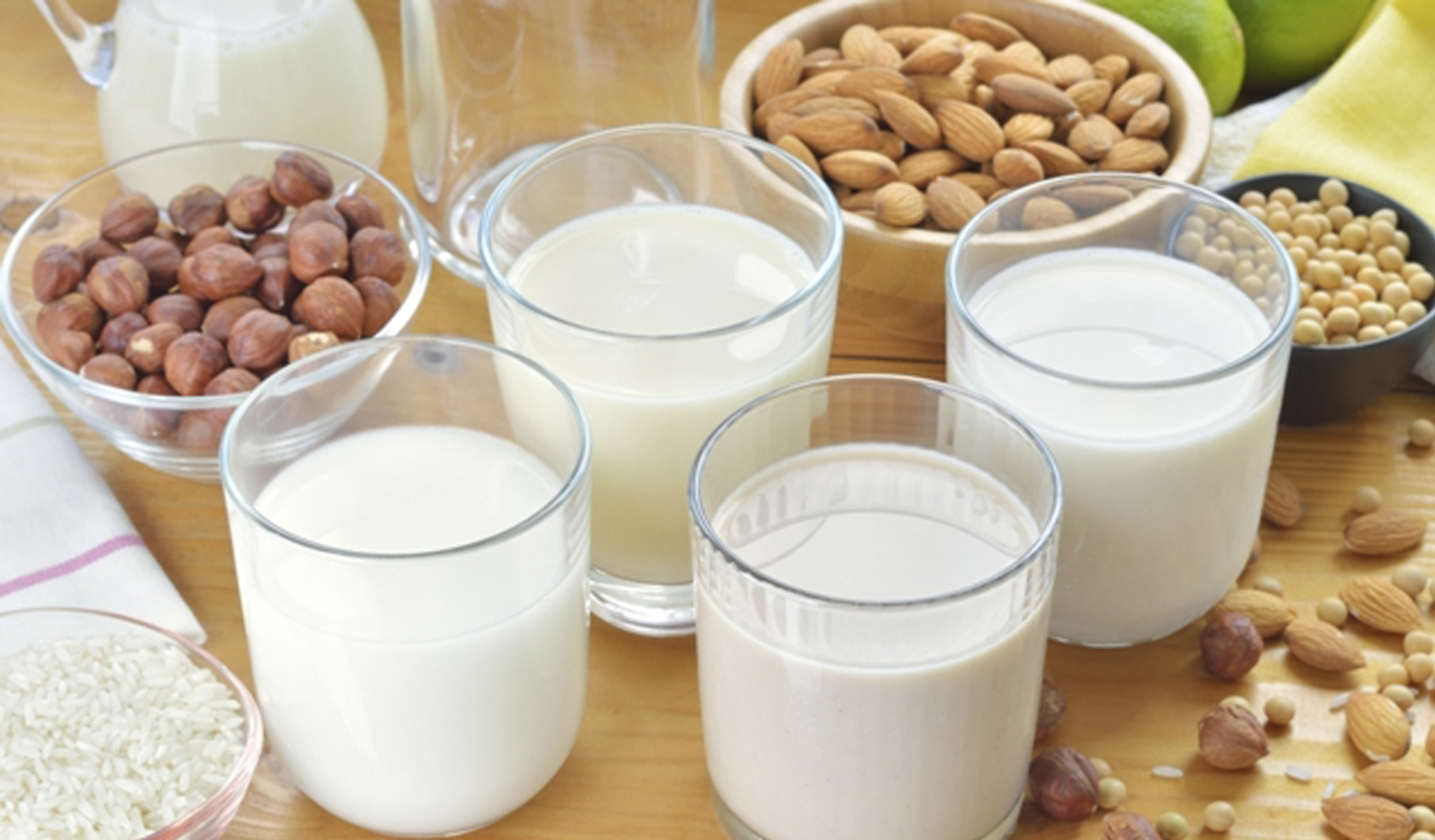 Cosecha tu leche no la ordeñes: Día Mundial de la Leche Vegetal | Love Veg