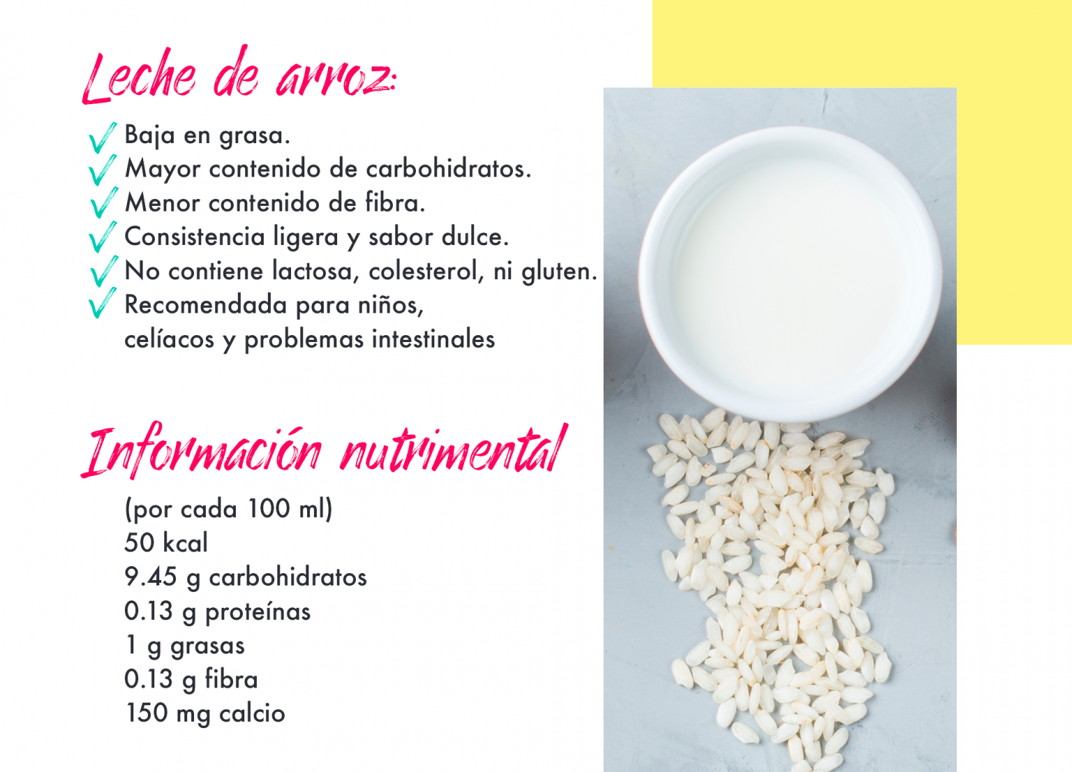 Todo lo que necesitas saber sobre las leches vegetales | Love Veg