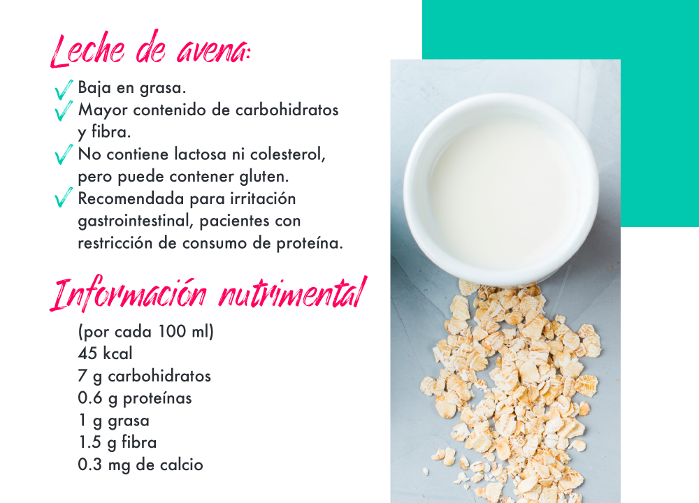 Todo lo que necesitas saber sobre las leches vegetales | Love Veg