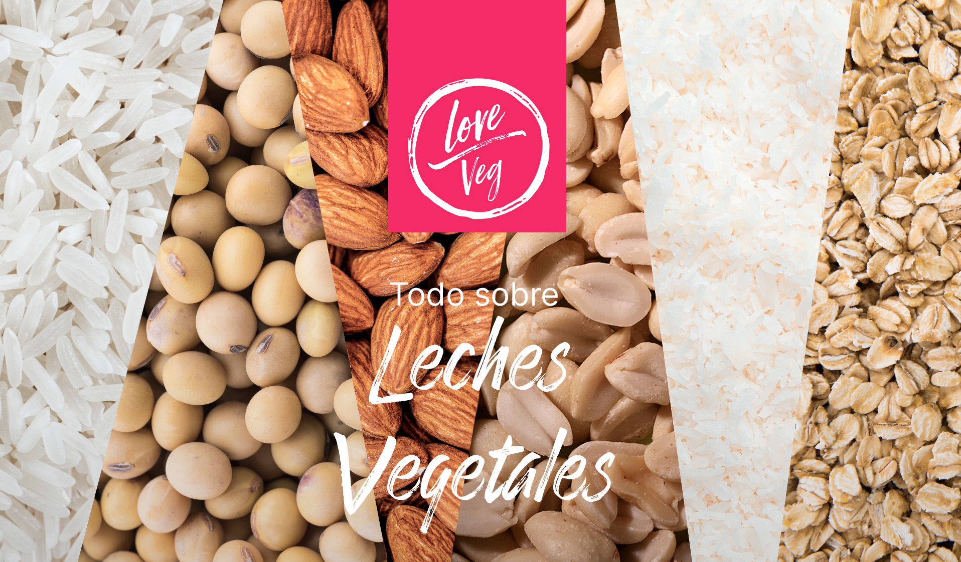 Todo lo que necesitas saber sobre las leches vegetales | Love Veg