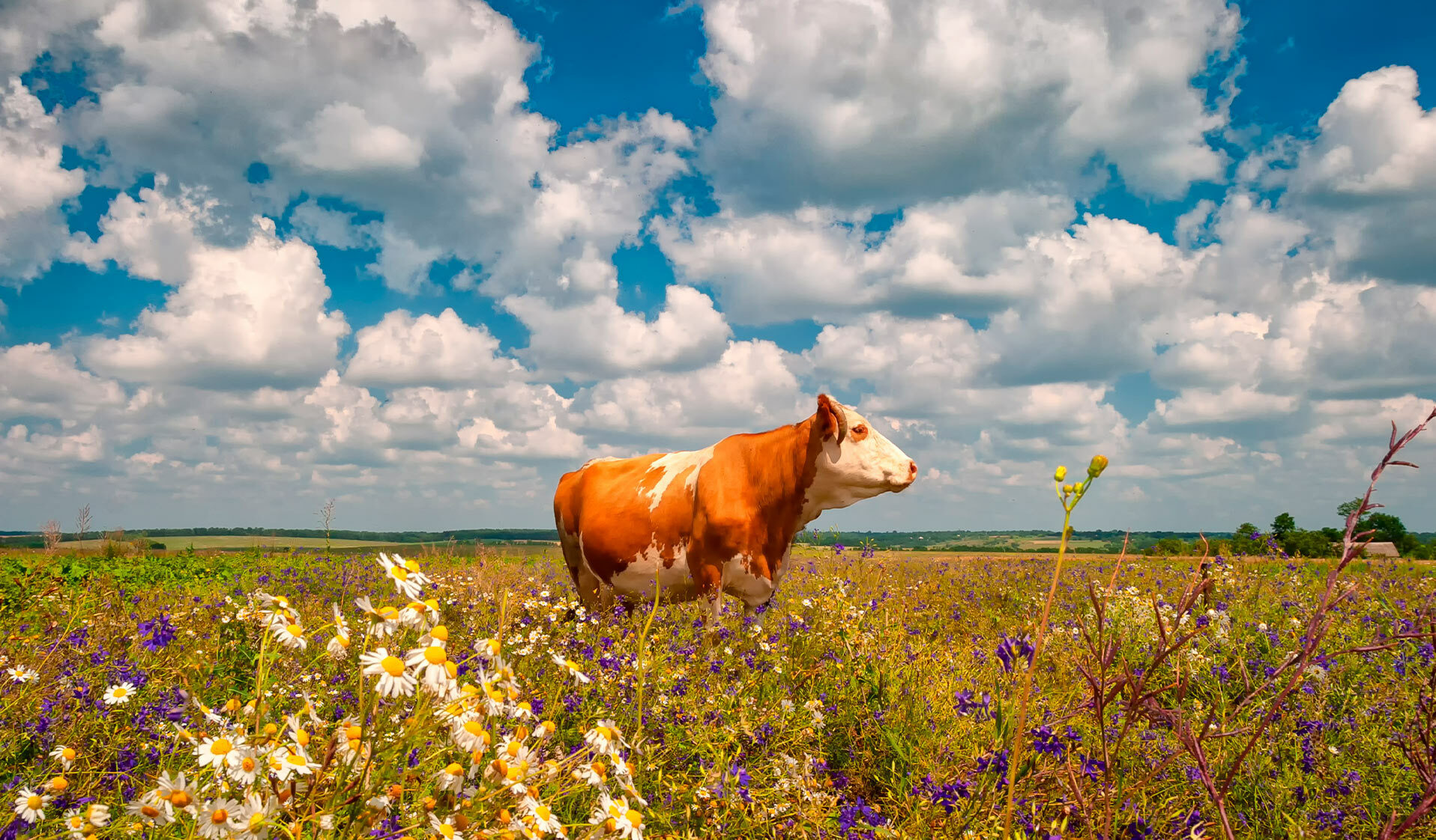 10 recetas para recibir la primavera | Love Veg