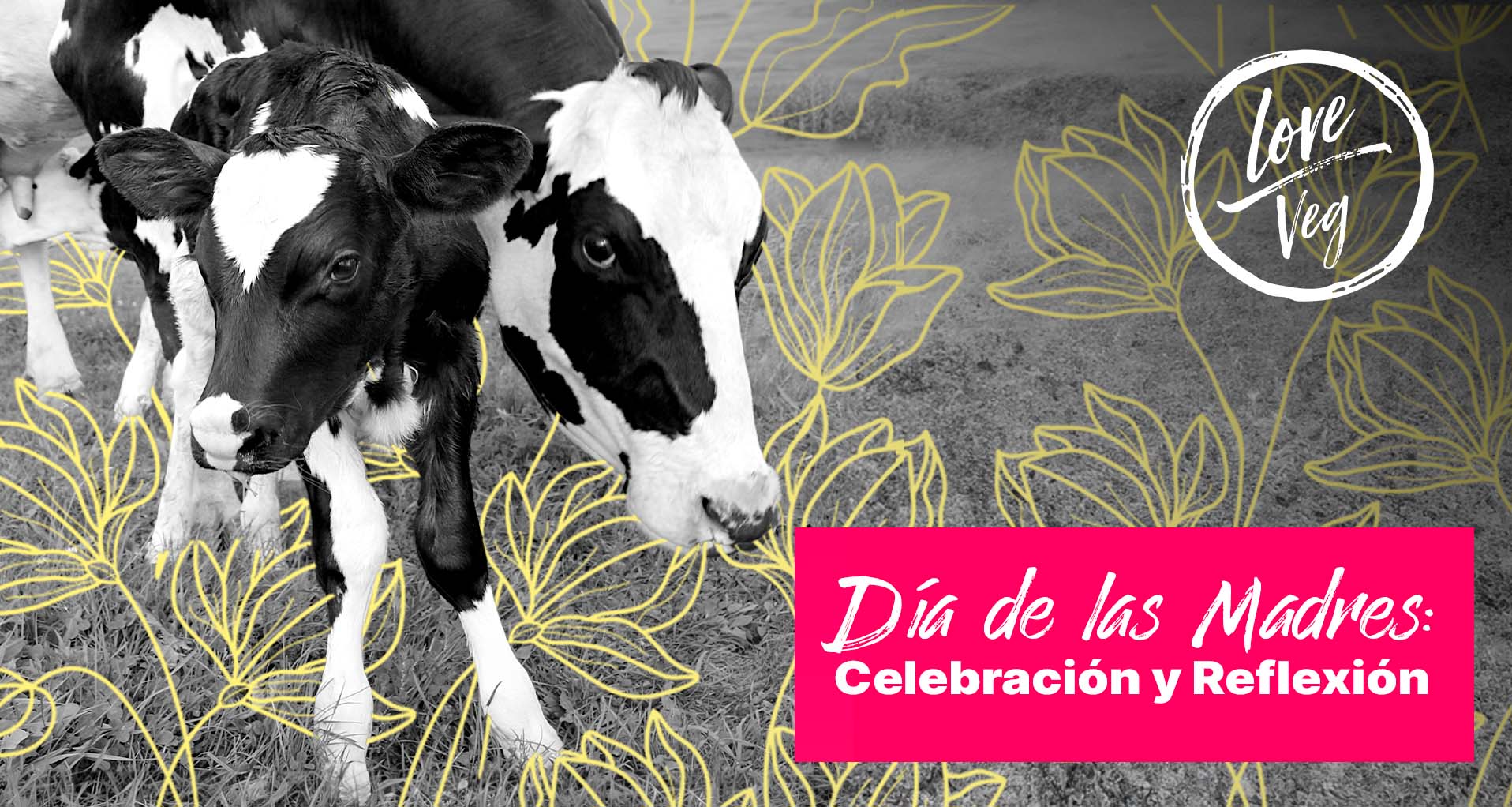 Día de las Madres: Celebración y Reflexión | Love Veg