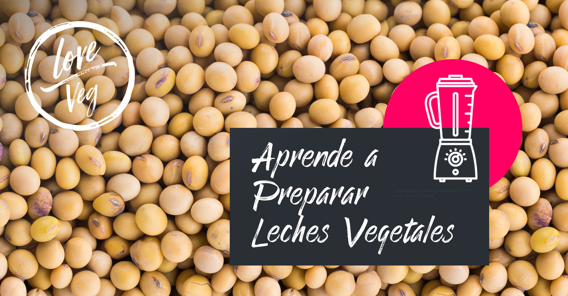 Aprende a preparar leches vegetales | Love Veg