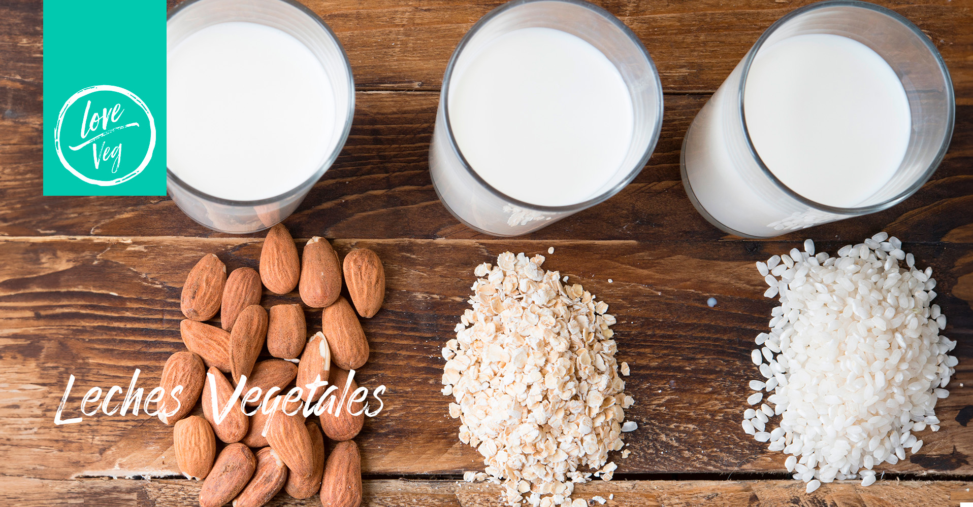 Leches Vegetales Caseras | Love Veg