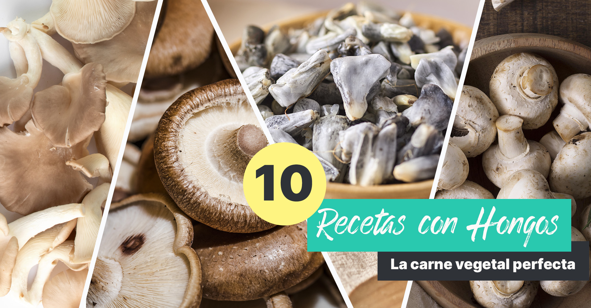 10 recetas con hongos, la carne vegetal perfecta | Love Veg